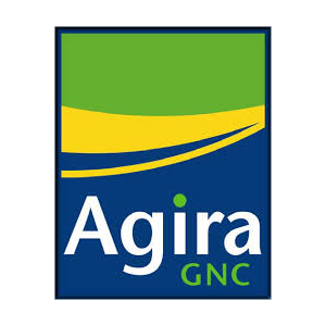 Integración con surtidores de GNC con electrónica Develco – z.system ...